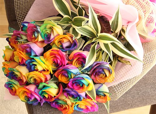 4 Cara Menanam Bunga Mawar Rainbow dan Perawatannya - IlmuBudidaya.com