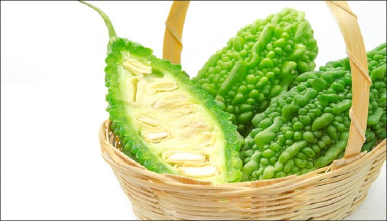 6 Cara Menanam Pare Hidroponik di Rumah - IlmuBudidaya.com