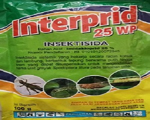 5 Cara Mengatasi Serangan Hama Gangsir dengan Mudah - IlmuBudidaya.com