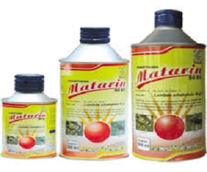 5 Cara Mengatasi Serangan Hama Gangsir dengan Mudah - IlmuBudidaya.com