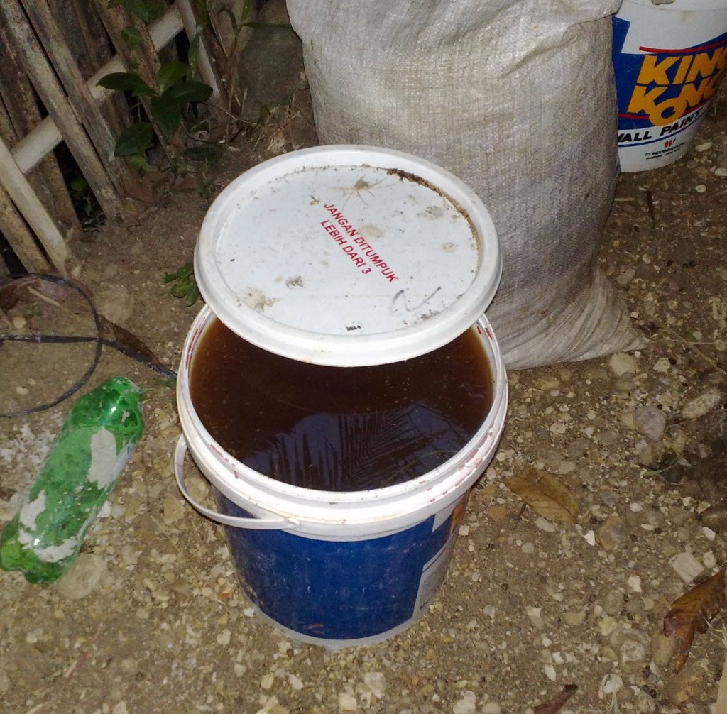 Cara Membuat Pupuk Cair dari Urine Sapi - Dosis dan Keunggulan ...